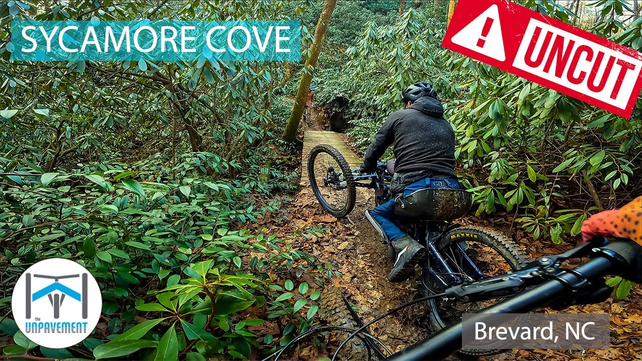 Sycamore Cove Trail - Adaptive MTB - Brevard, NC - YouTube