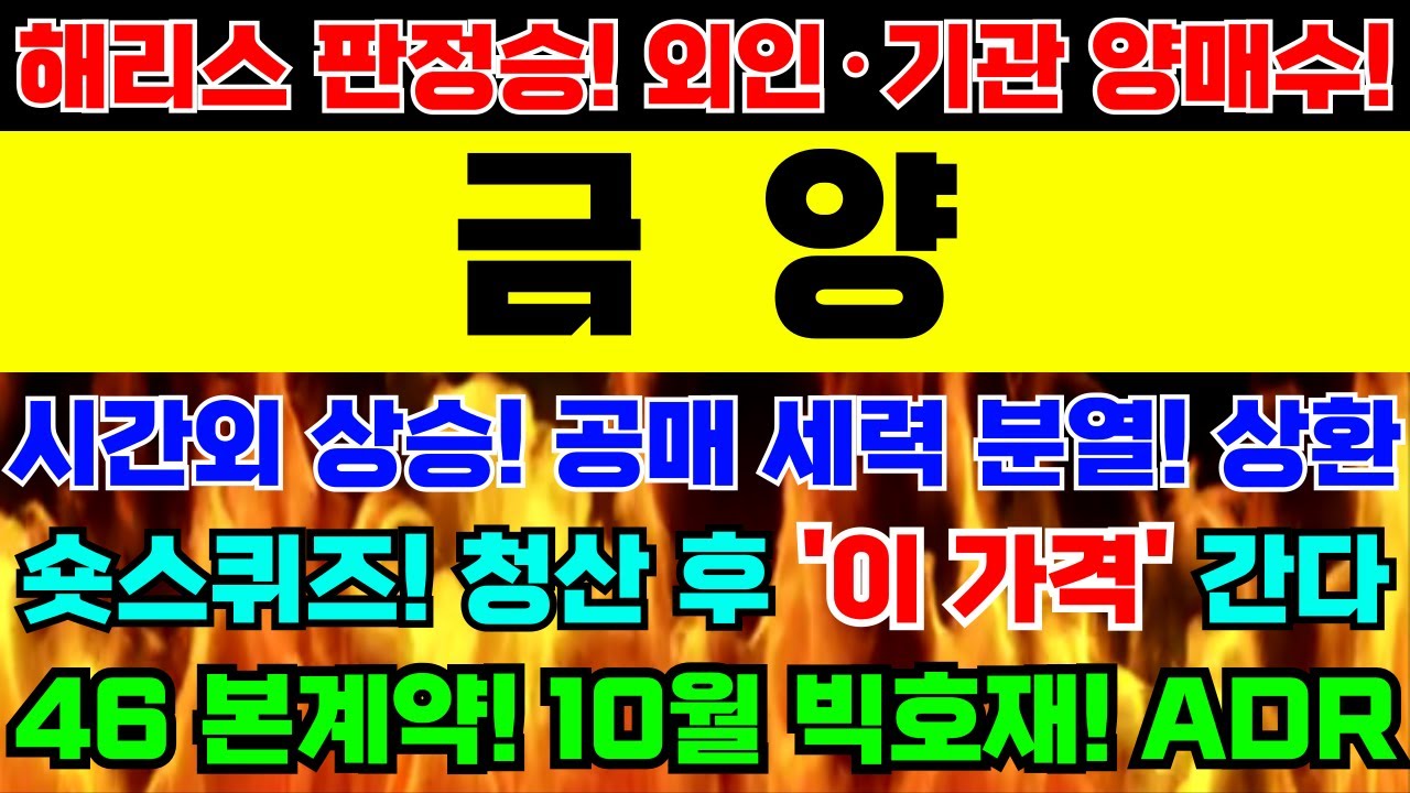 금양 주가전망 🚨긴급속보🚨해리스 판정승 외인·기관 양매수 시간외 상승 공매 세력 분열 상환 숏스퀴즈 청산 후 이