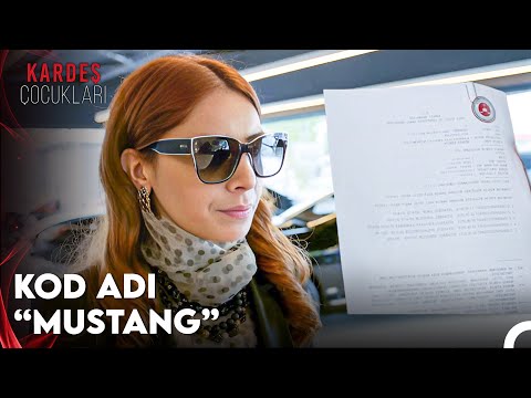 Eşkıya Da Benim, Prenses De Benim - Kardeş Çocukları 16. Bölüm