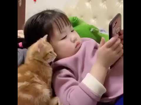 Kedilerin Komik Anları | Avcı Kediler