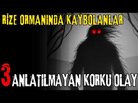 Rize Ormanlarında Kaybolanların Dönüp Anlattığı 3 Ürpertici Anlatılmayan Olay- Korku Hikayeleri Cin