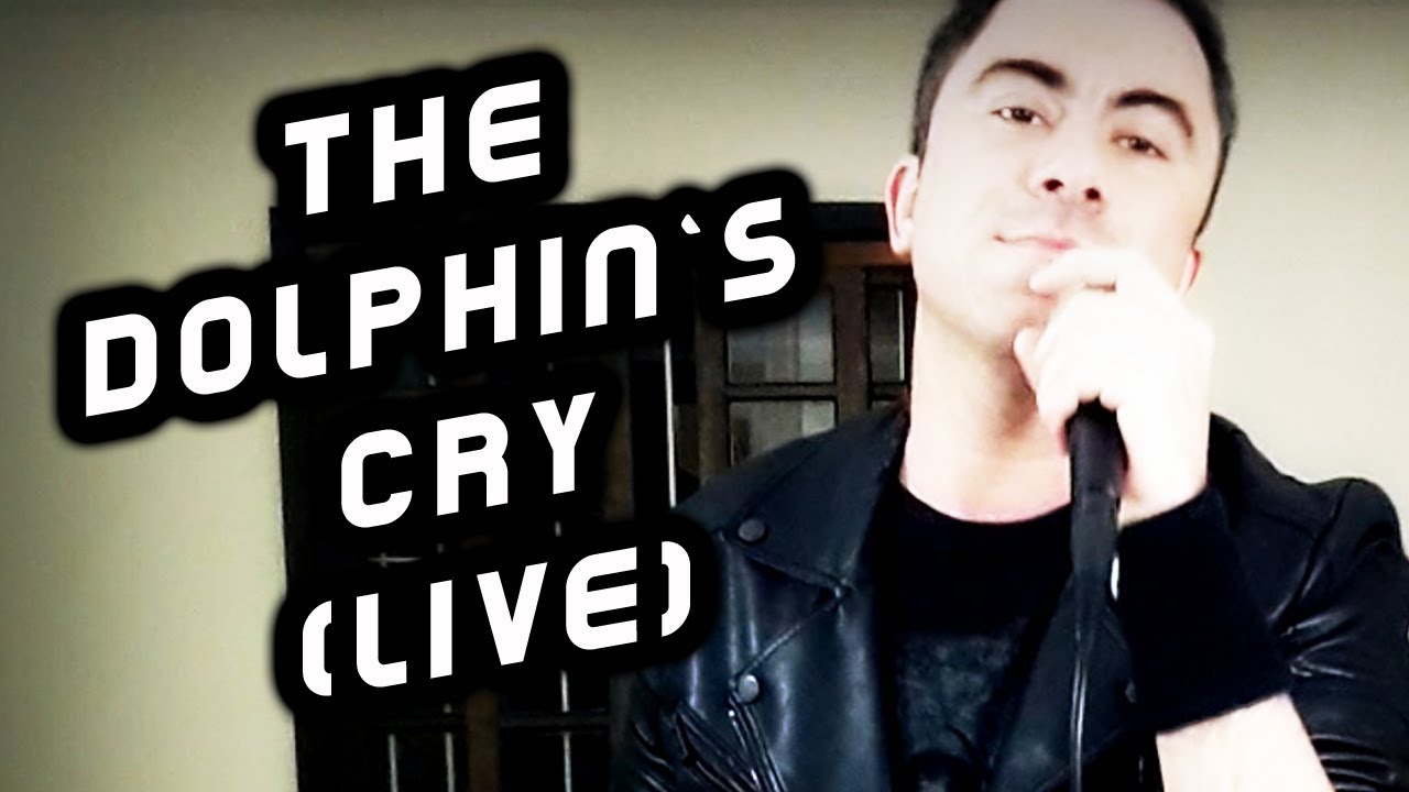 The Dolphin's Cry - Live (Live Vocals Cover) - YouTube