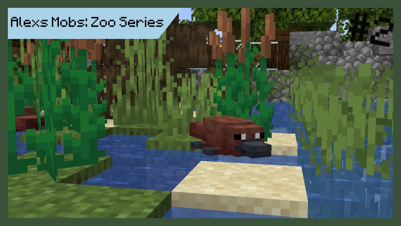 Perry the Platypus - Alex's Mobs Zoo Series | Episode 2 - YouTube