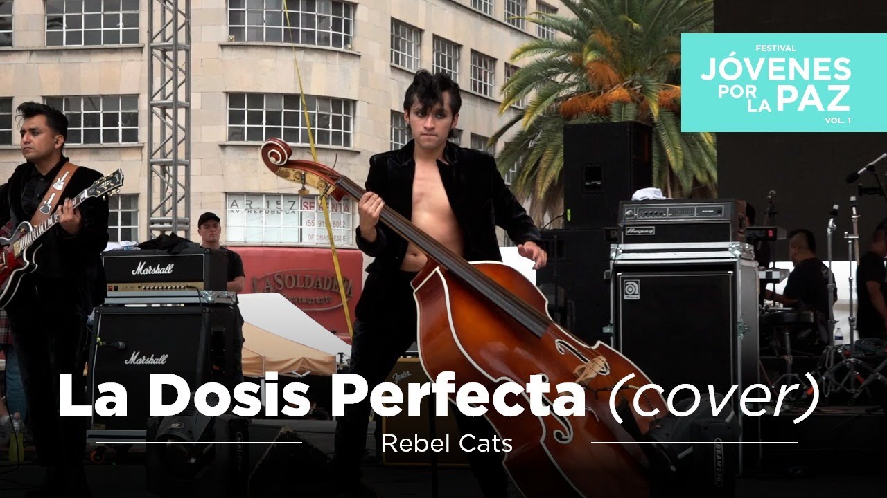 Rebel Cats - La Dosis Perfecta en el Festival Jóvenes por la Paz VOL 1 ...