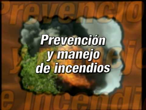 Spanish Fire Awareness and Safety Video - Español - Prevención y Manejo ...
