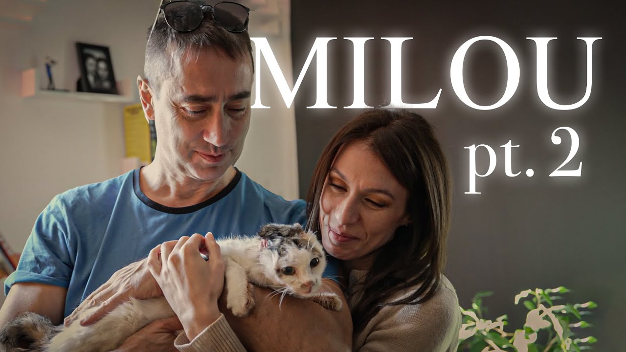 Milou Pt. 2 - The Day We Said Goodbye - YouTube