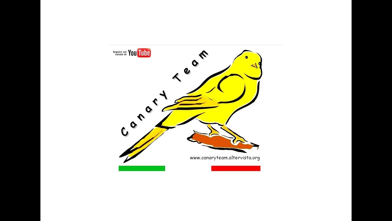 Canary Team - Allevare per Passione - Presentazione - YouTube