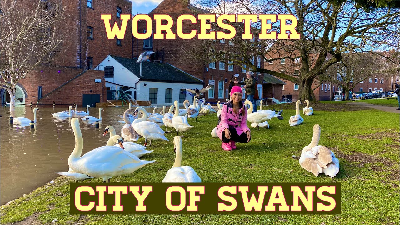 VISIT WORCESTER CITY OF SWANS| ENGLAND, UK| TRAVELERS| TRAVEL GOAL 2020 ...