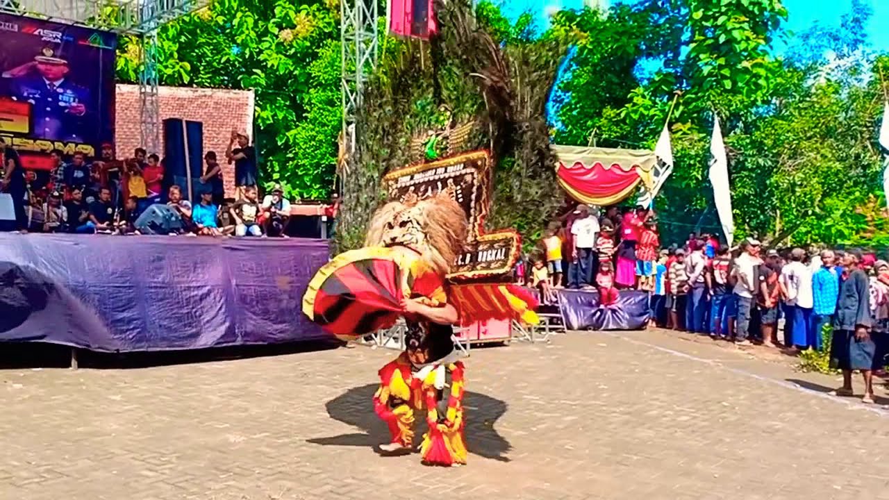 Tari Dadak Merak//Reyog PONOROGO.2020 - YouTube