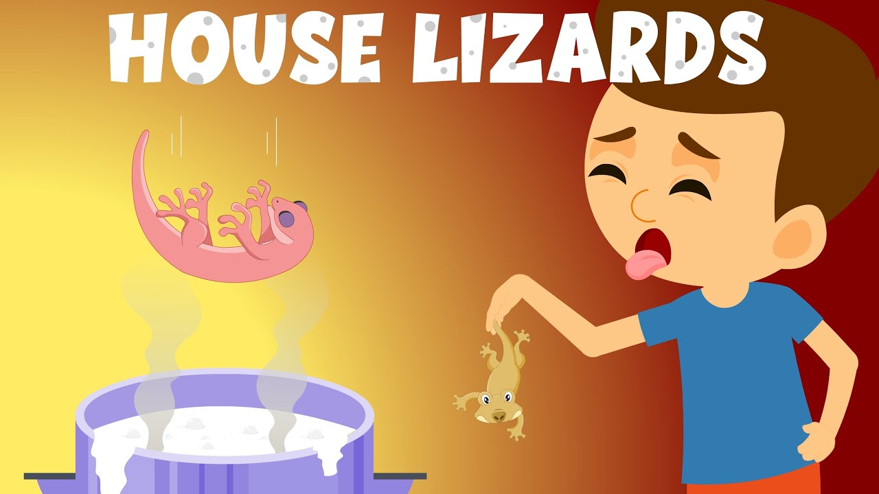 What if a lizard falls in your food? | Lizard is Poisonous? | House ...