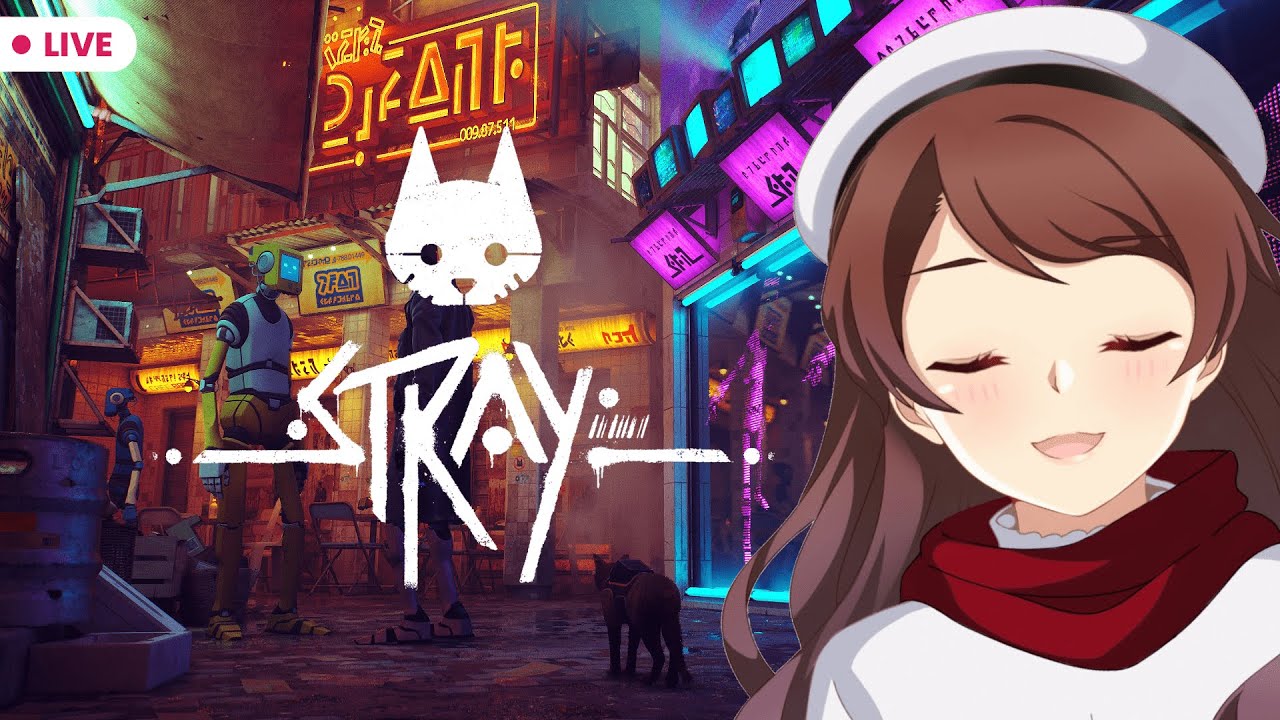 Now It's Meow-Meow Time!! ( ω ) | Stray【Vtuber Indonesia】 - YouTube