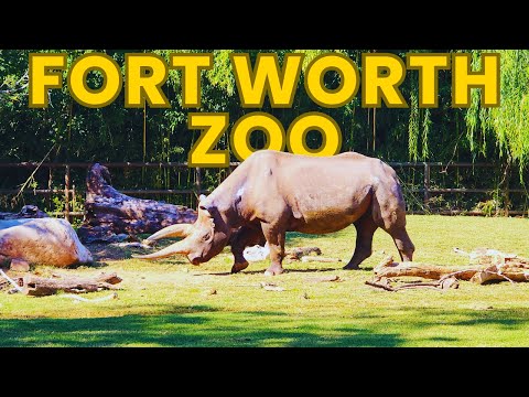 Exploring the WILD Fort Worth Zoo Texas Ultimate Full Tour