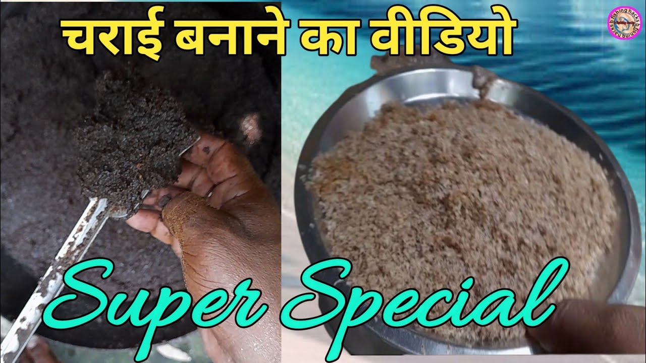 Special Charai Baneka Video 5kg Charai Attraction For Rohu Katla Mrigel ...
