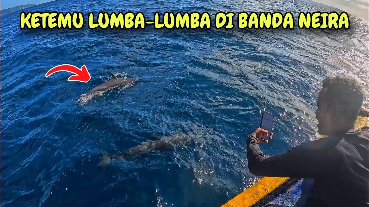 KETEMU LUMBA LUMBA DI BANDA NEIRA !! EXPLORE PULAU NAILAKA, PULAU RHUN ...