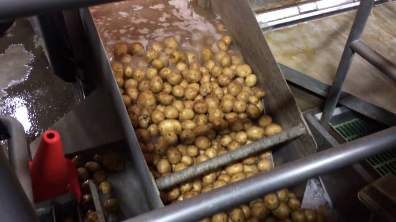Potato Unload - YouTube