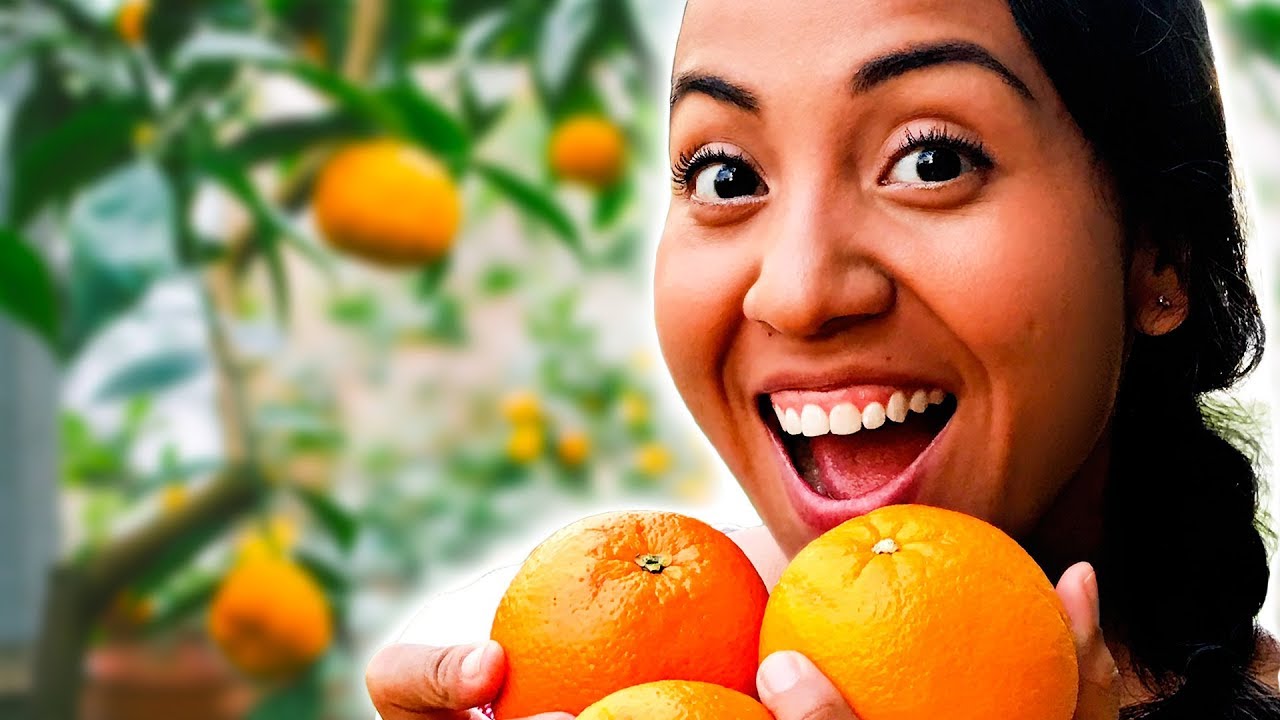 Is it Orange or China? What the fruit! Festival at Las Marias, Puerto ...