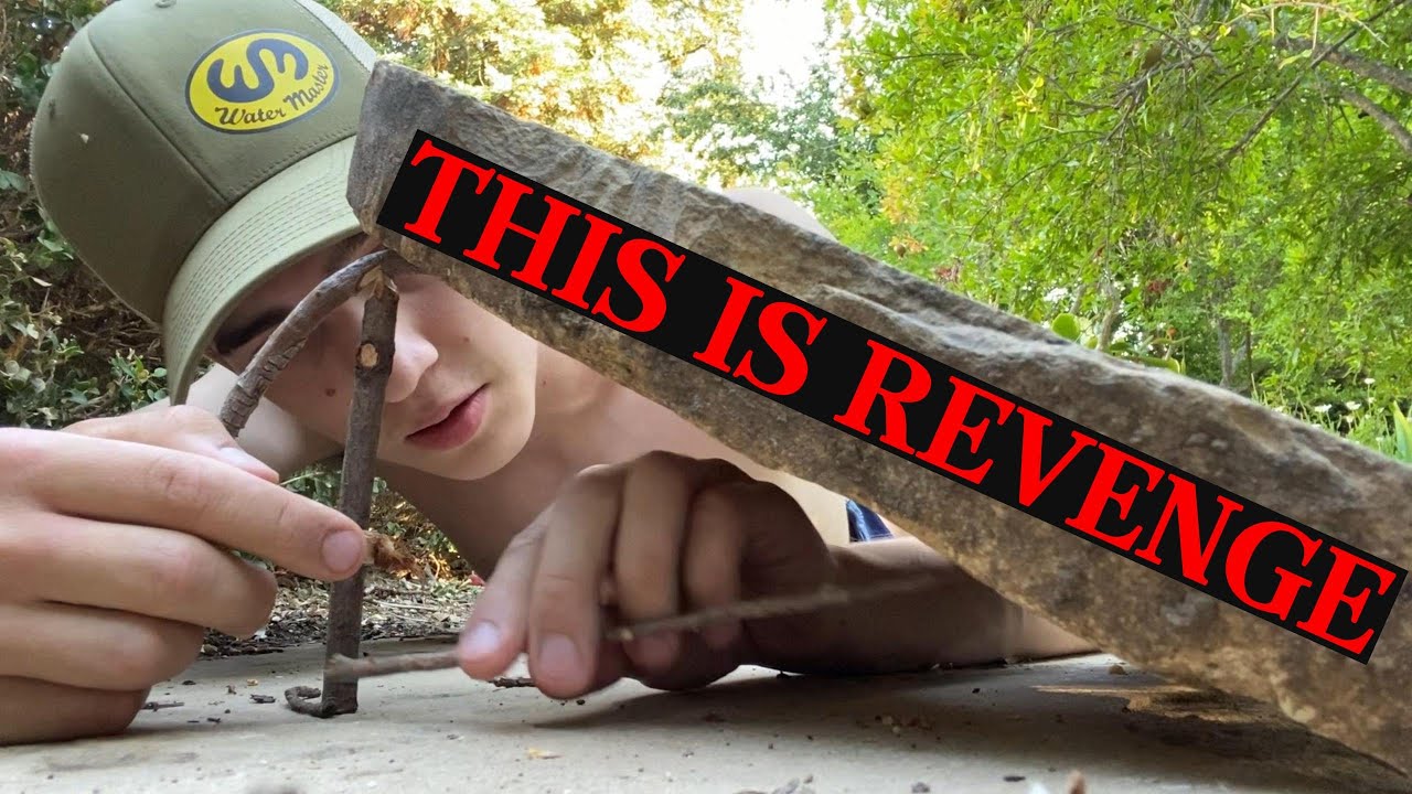 Paiute Deadfall Trap | Primitive Survival - YouTube