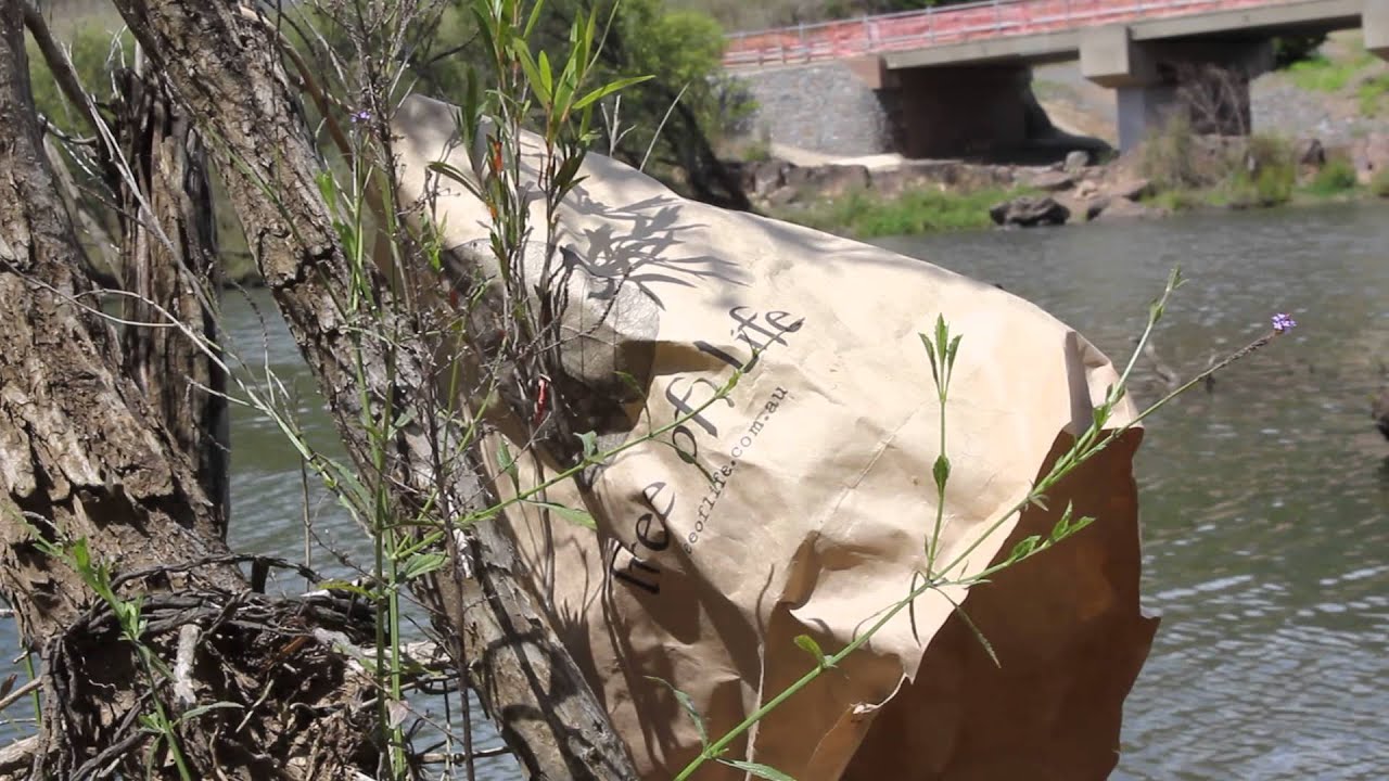 paper bag still - YouTube