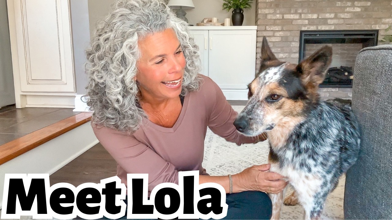 Meet Lola...Our Rescue Dog from Mexico🐾 - YouTube