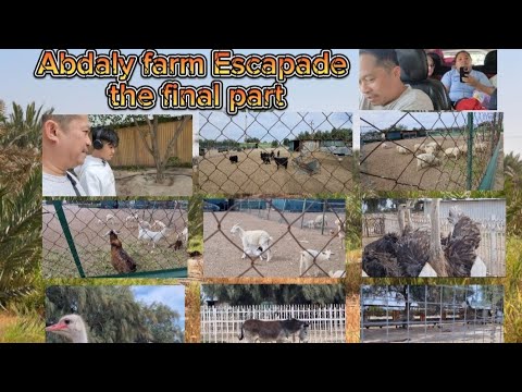 ABDALY FARM ESCAPADE "the zoo" the final part - YouTube