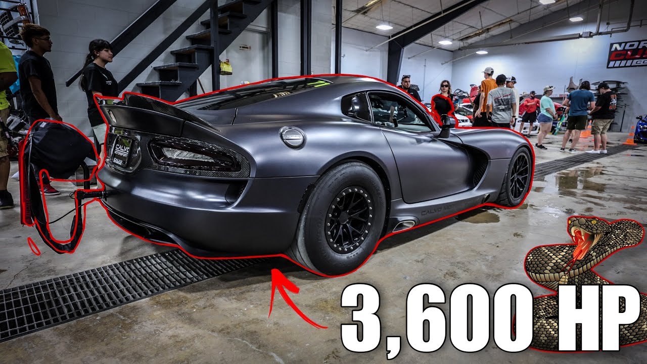 Legendary 3,000+ HP CALVO VIPERS Gather Under 1 Roof! - YouTube