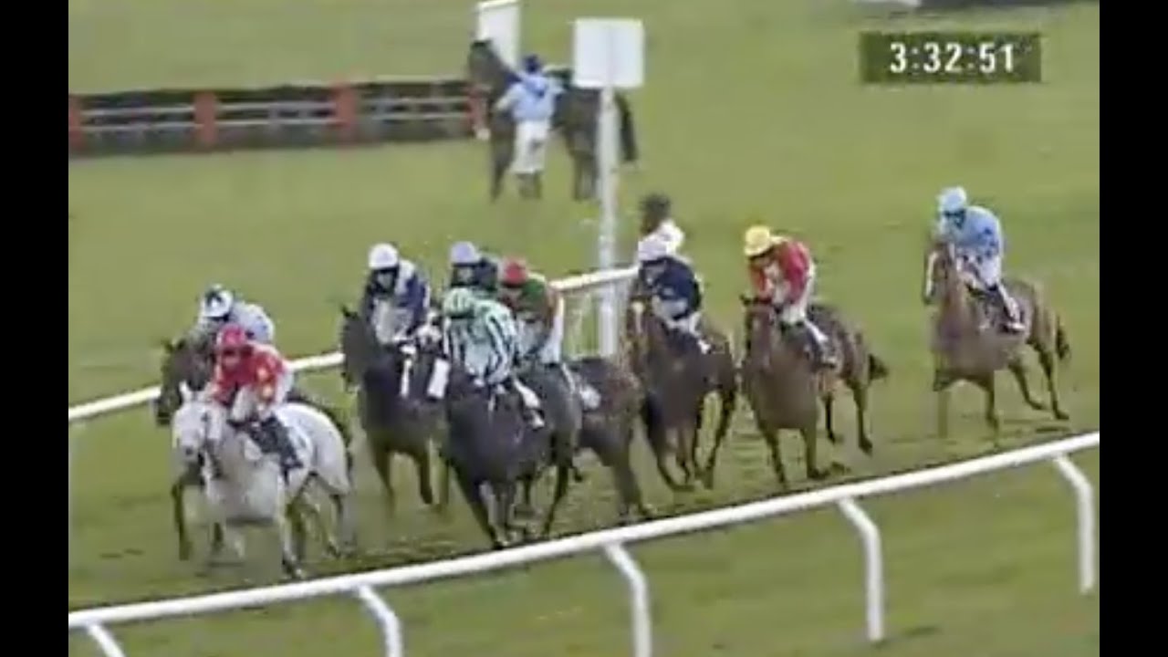 Horse Racing Death 97 - Getinbybutonlyjust at Carlisle Racecourse - YouTube