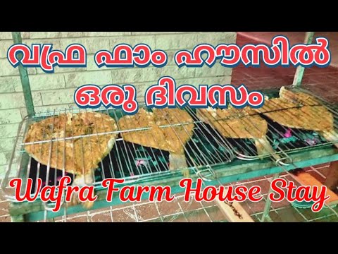 wafra farm Kuwait | wafra farm house Kuwait | Kuwait tour | farm tour ...