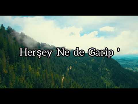 Herşey Ne de Garip!