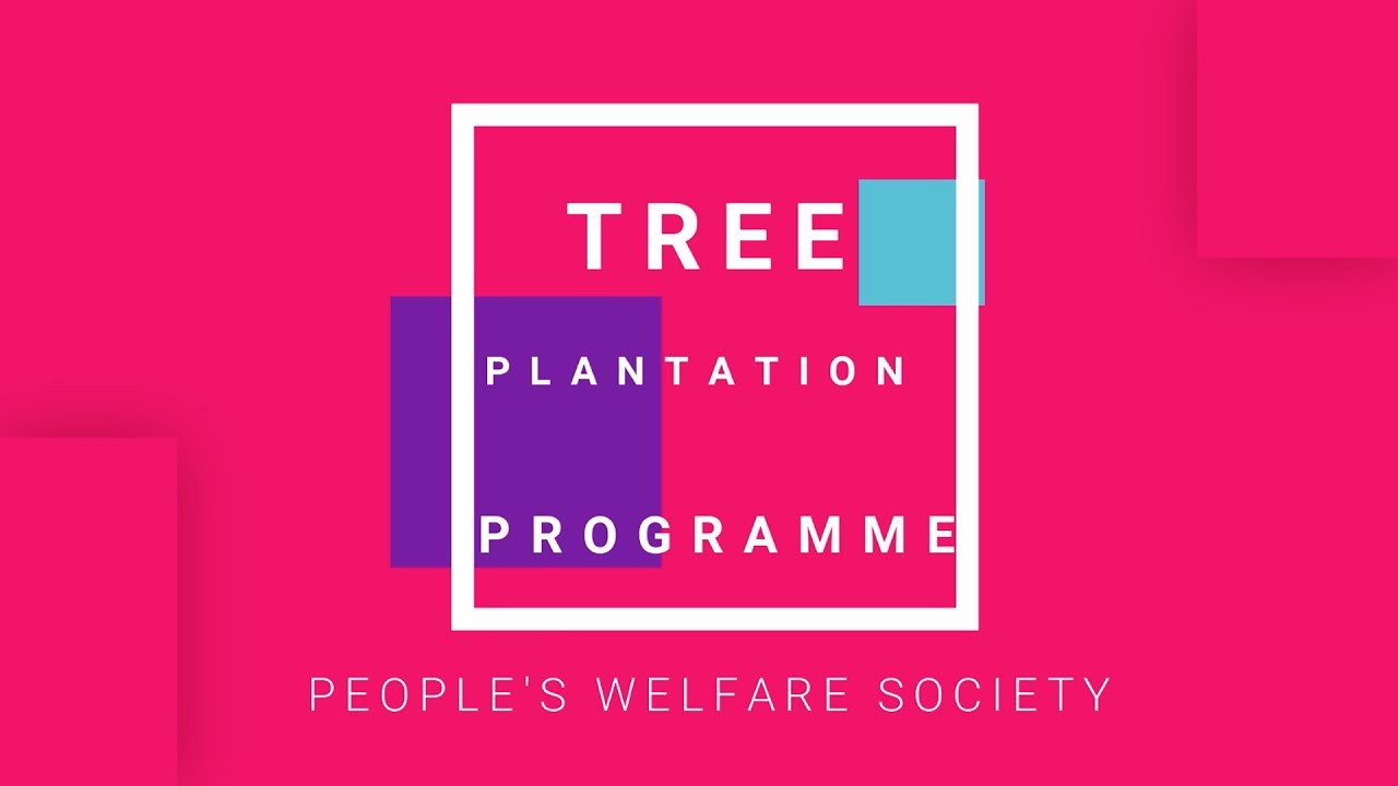 My First #1 Social Work!!! Tree Plantation Programme, organised by ...