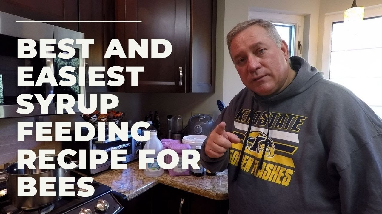 Best and Easiest Syrup Feeding Recipe for Bees - YouTube