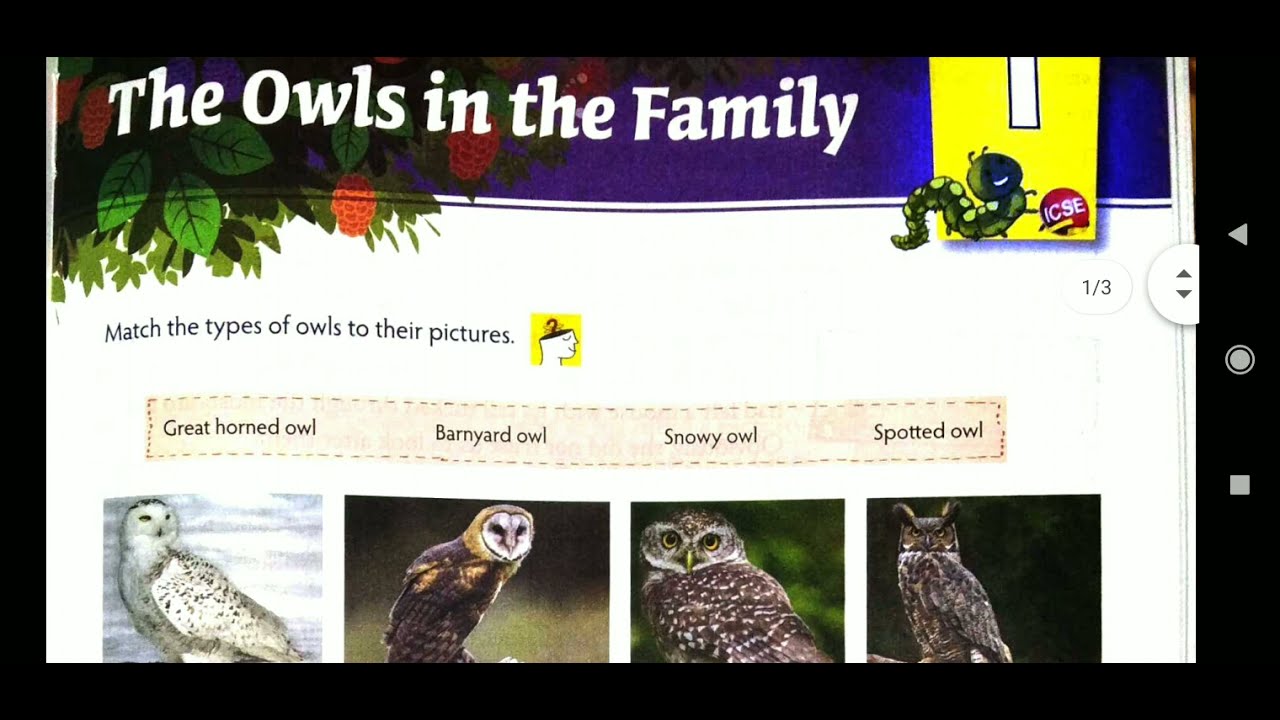 THE OWLS IN THE FAMILY CLASS 5 ICSE NEW MULBERRY ENGLISH BOOK THE OWLS IN THE FAMILY CLASS 5 ICSE NEW MULBERRY ENGLISH BOOK