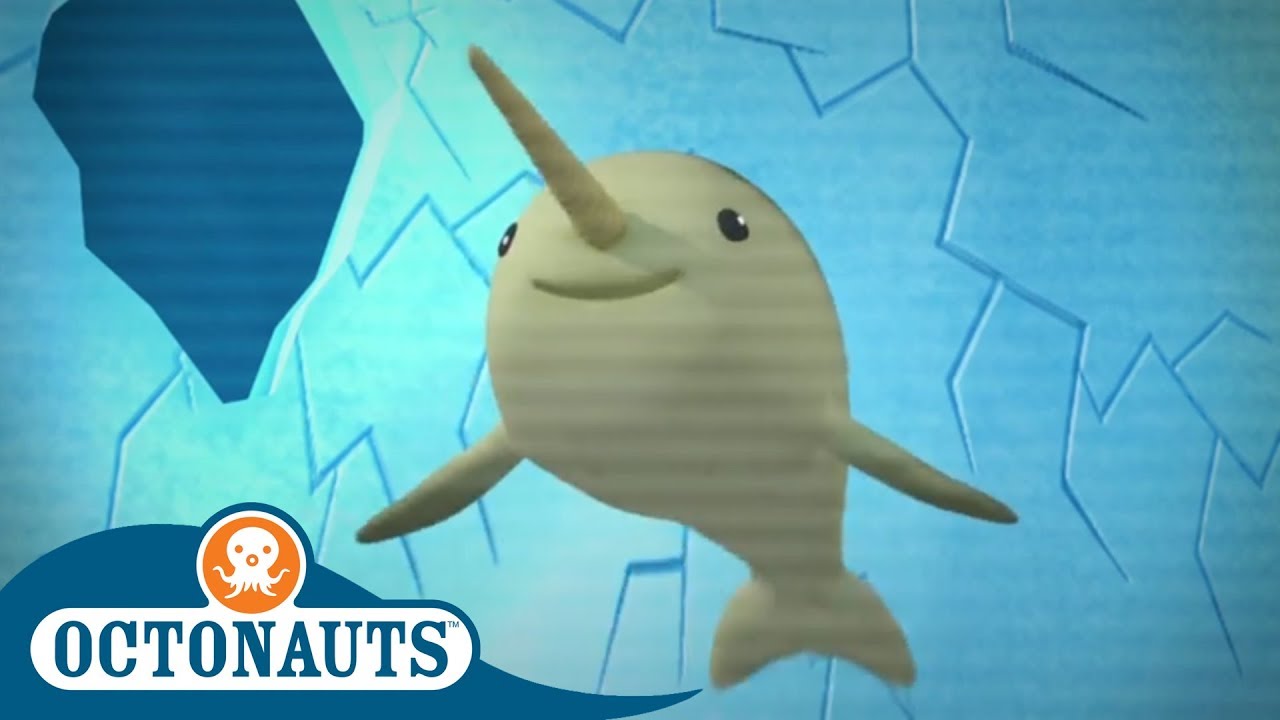 Octonauts - Sea Knights | Songs of the Deep | Cartoons for Kids - YouTube