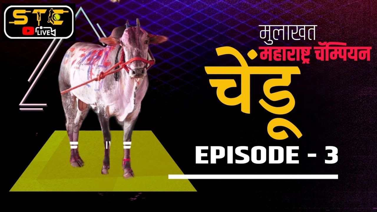 || एपिसोड - 3 || पठारवाडी च्या चेंडू ची मुलाखत || PATHARWADI CHYA ...