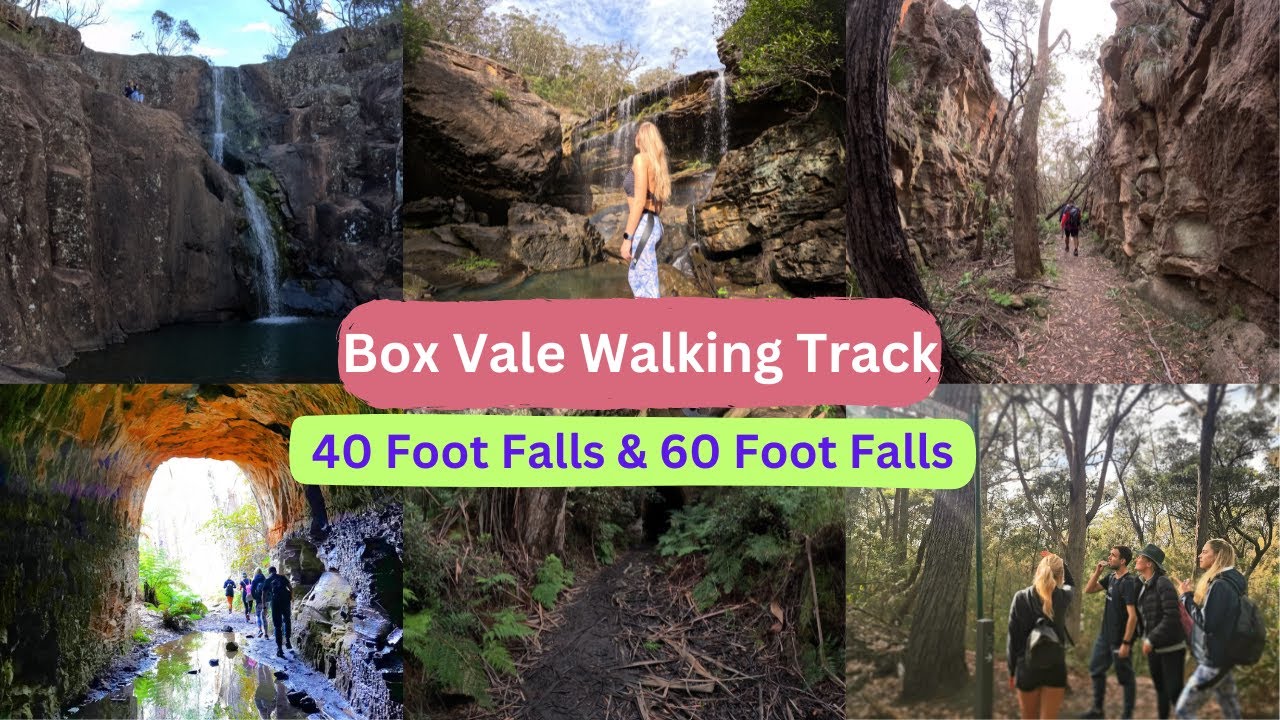Box Vale Walking Track (40 Foot Falls) & 60 Foot Falls - Sydney ...