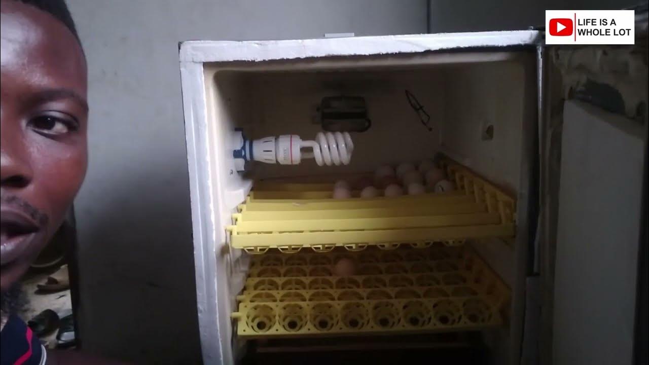 FRIDGE TO INCUBATOR: HOW TO TURN AN OLD FRIDGE INTO A CHICKEN EGG ...