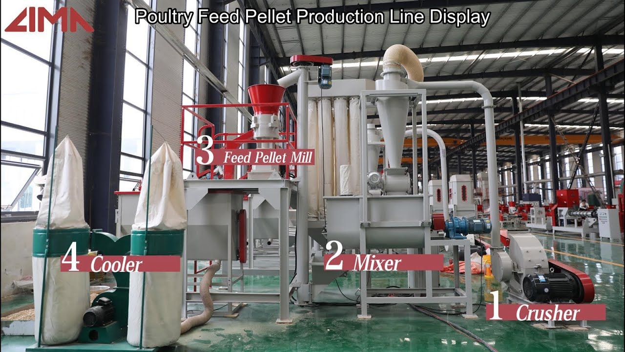 Poultry Feed Pellet Production Line: See How Chicken Feed Is Made ...