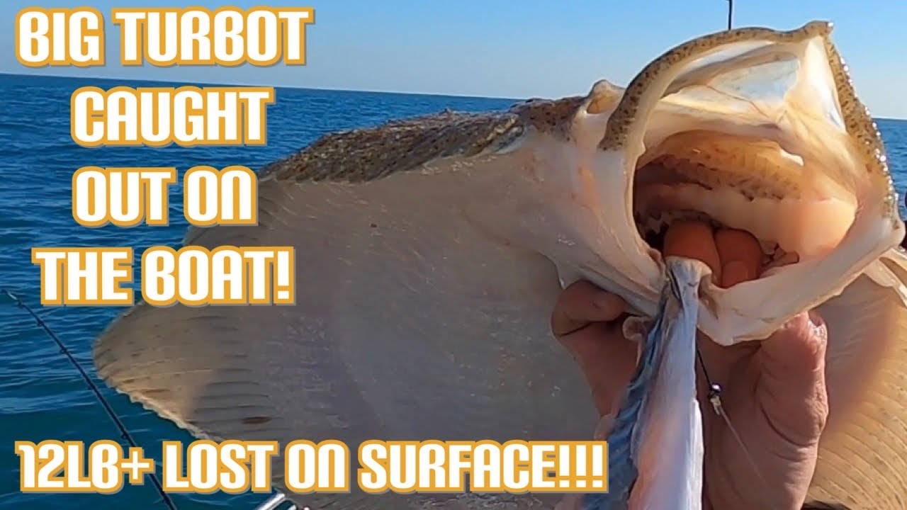 BIG FLATFISH caught while BOAT FISHING - Huge TURBOT lost at the ...
