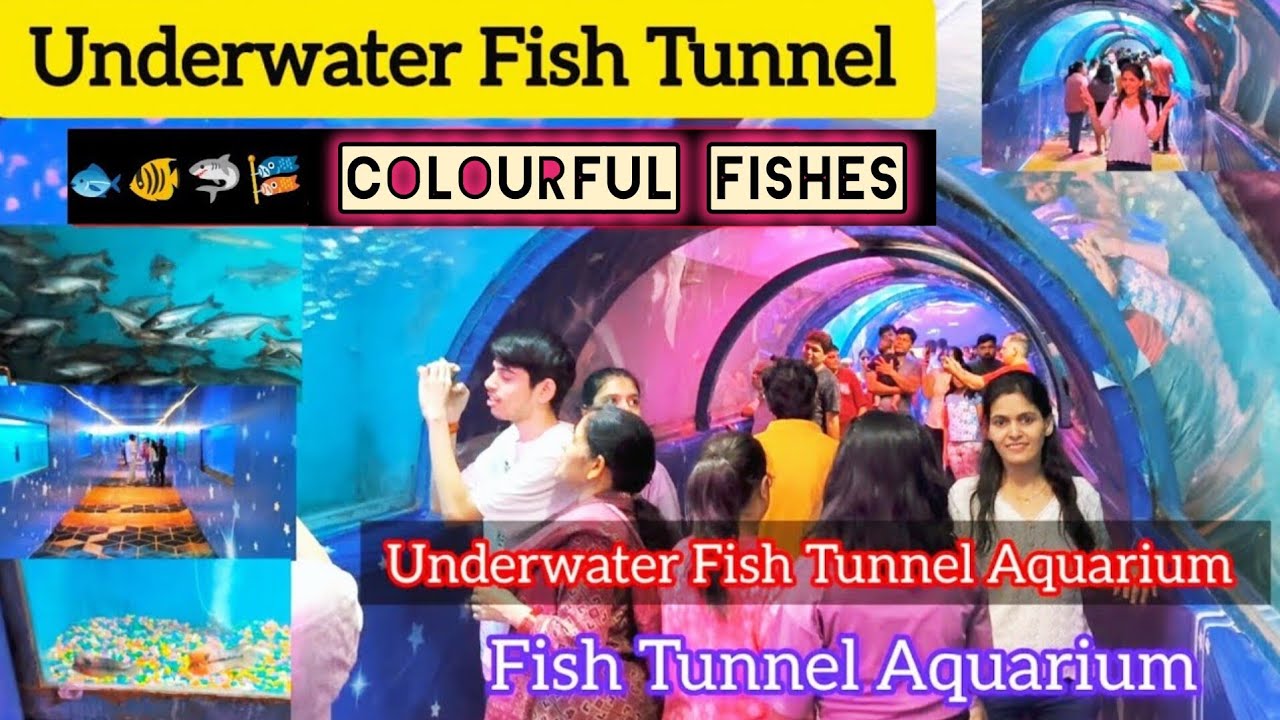 Underwater Fish Tunnel || Fish Tunnel Aquarium || Underwater Fish ...