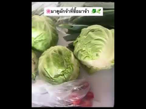 Wichuda Seewichai Videos #128