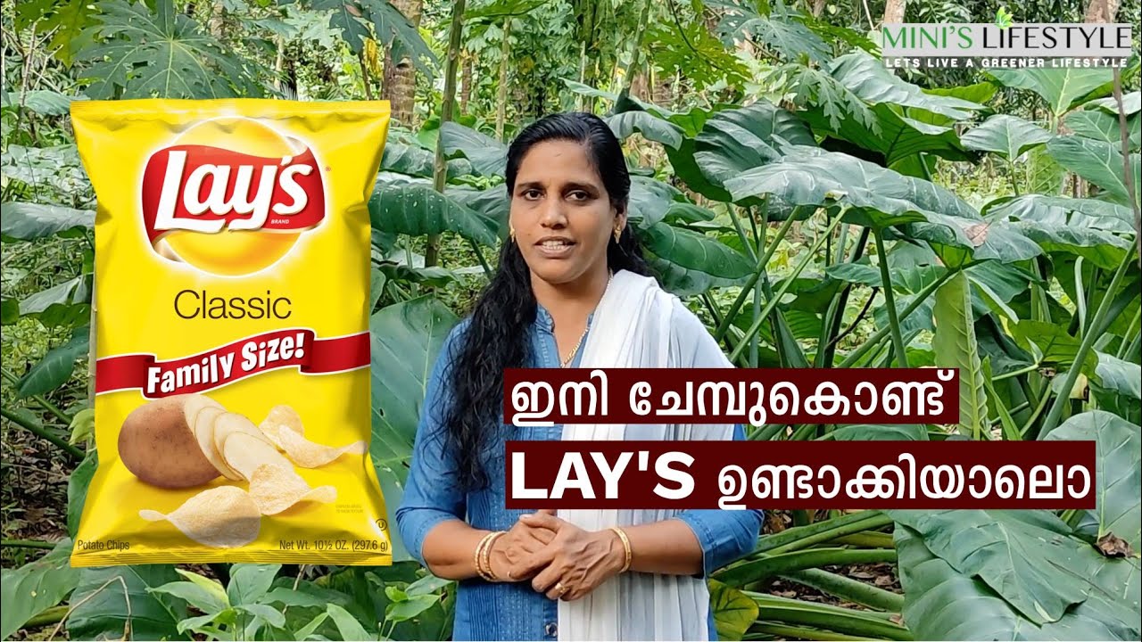 ഇനി Lays വീട്ടിൽ തന്നെ ഉണ്ടാക്കാം | Chembu Chips Recipe Malayalam - YouTube