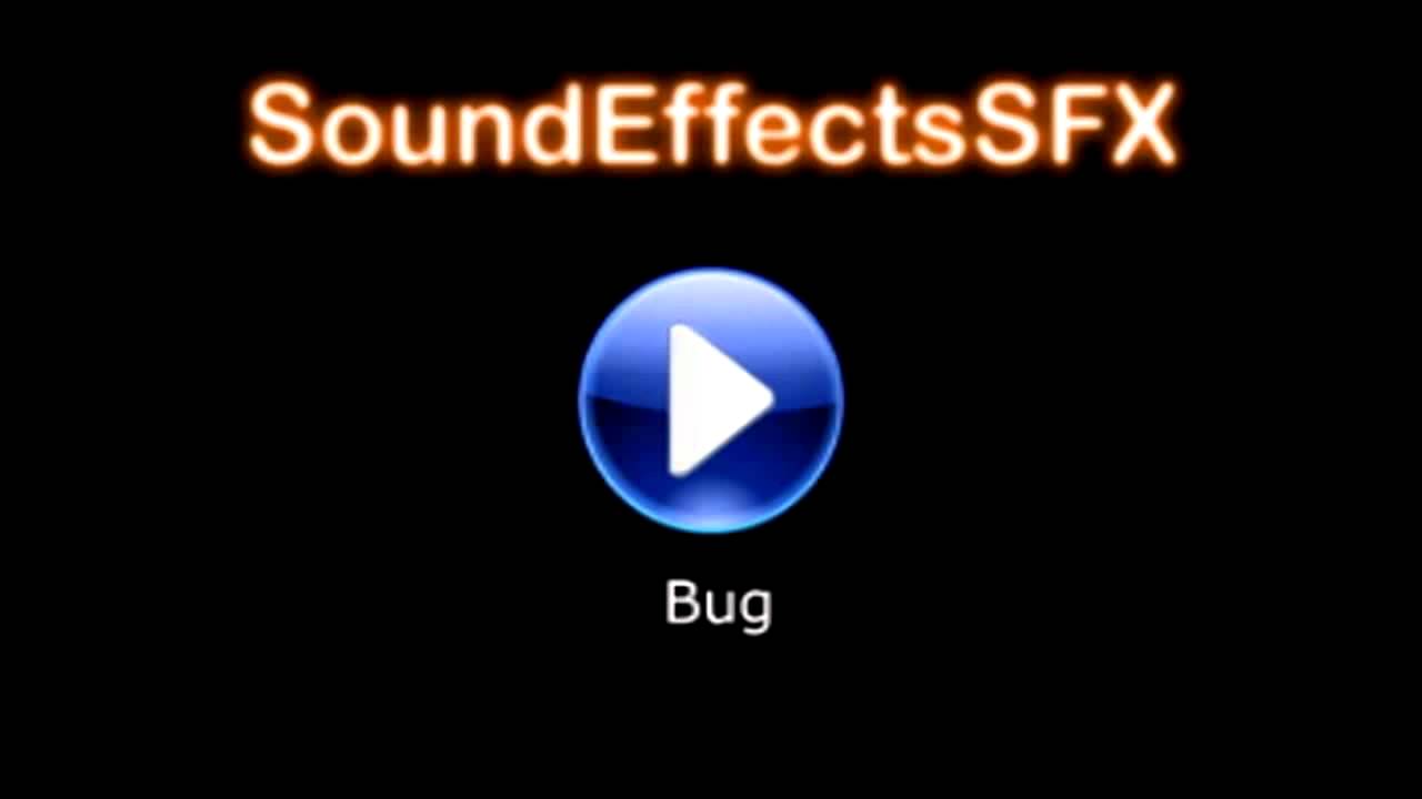 Bug Sound effect - YouTube