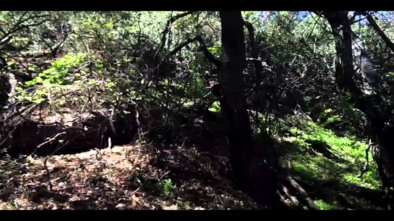 Ghost Hike in Griffith Park - YouTube