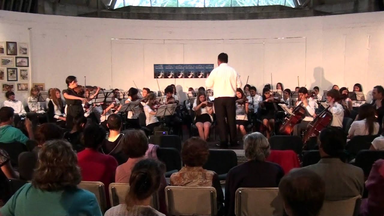 Raluca Constantin, Serenade - J. Haydn - YouTube