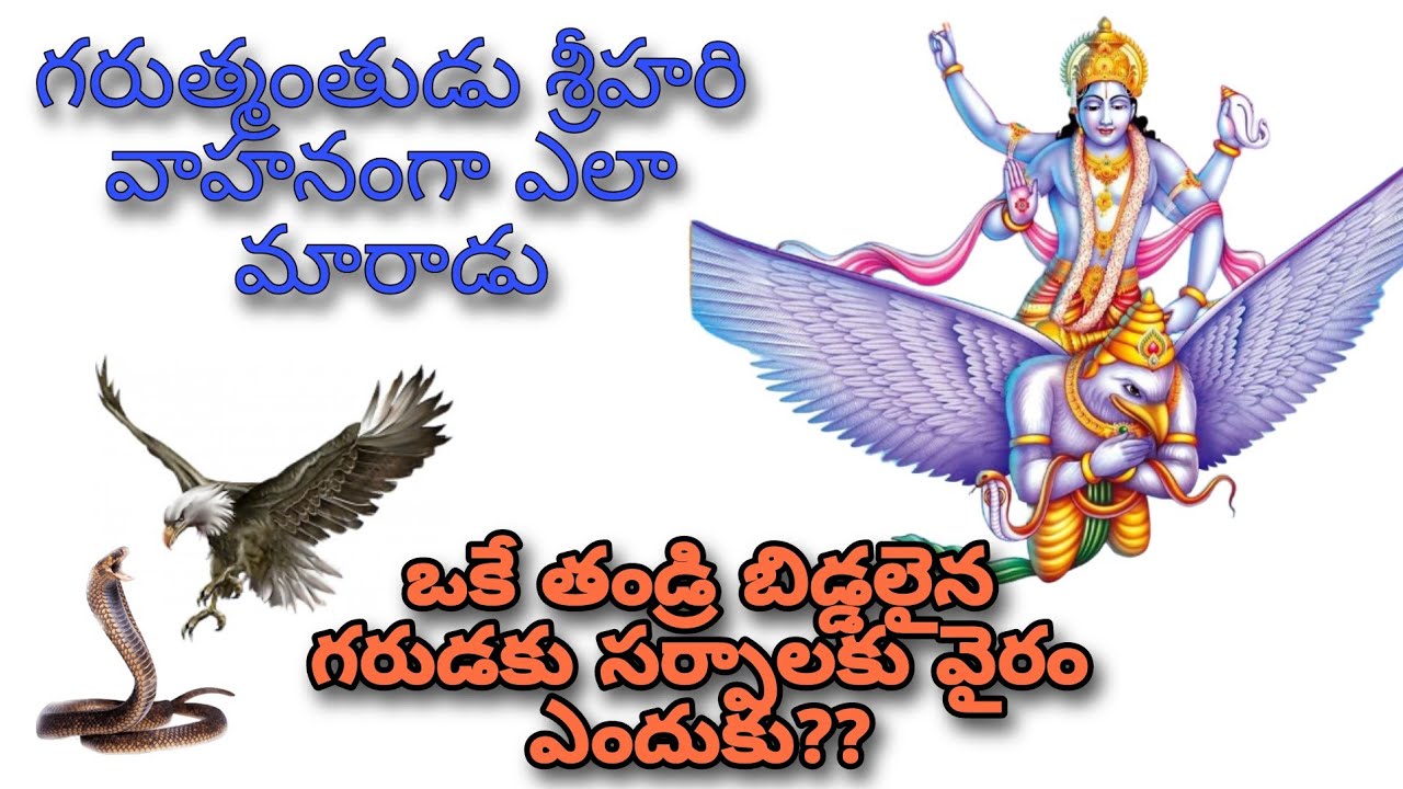 ||The power of Garuda|| #గరుత్మంతుని కథ||Why snakes and birds are ...