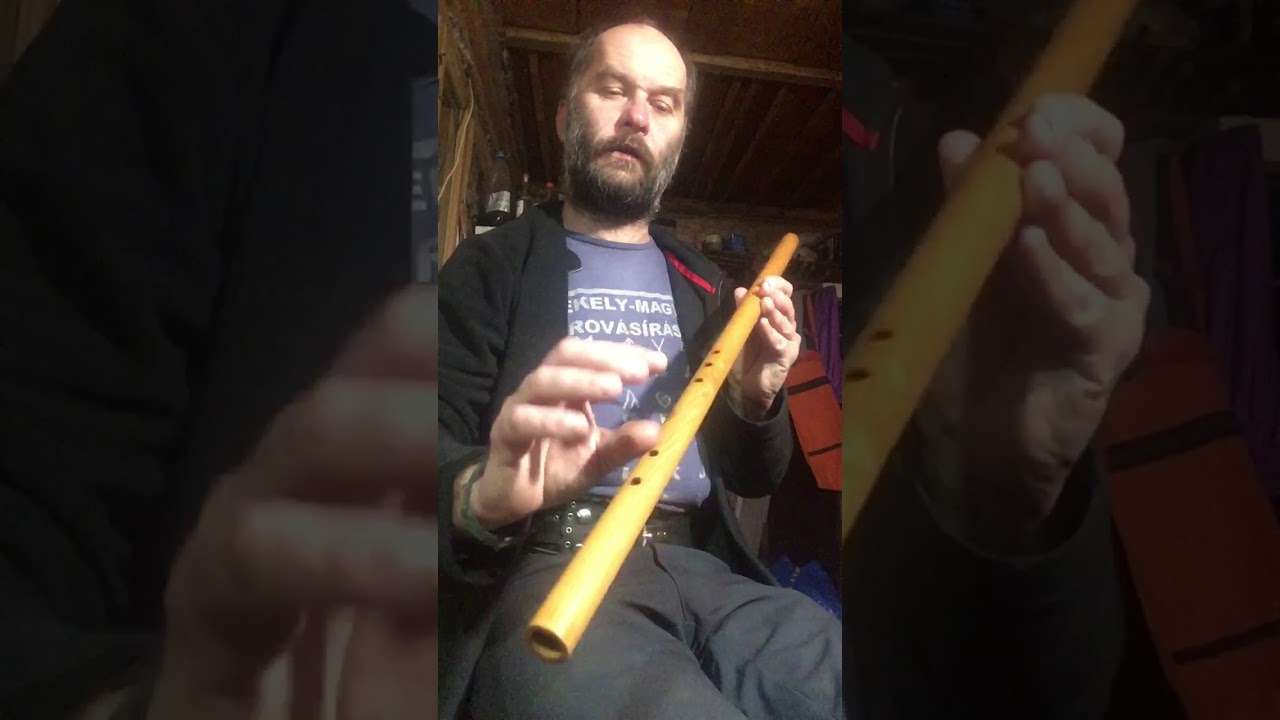 Să cunoaștem cavalul - YouTube