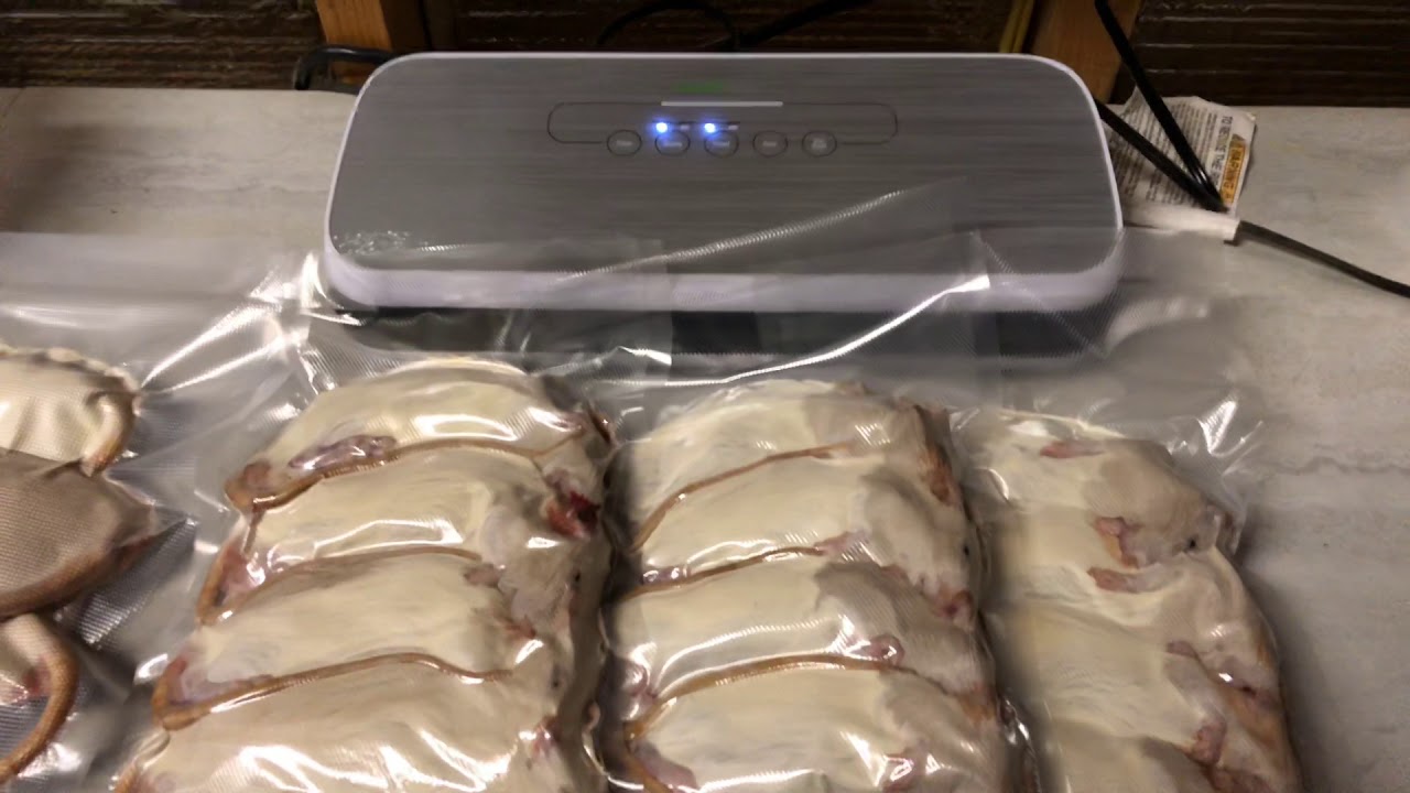 How I bag and Freeze my own rats - YouTube