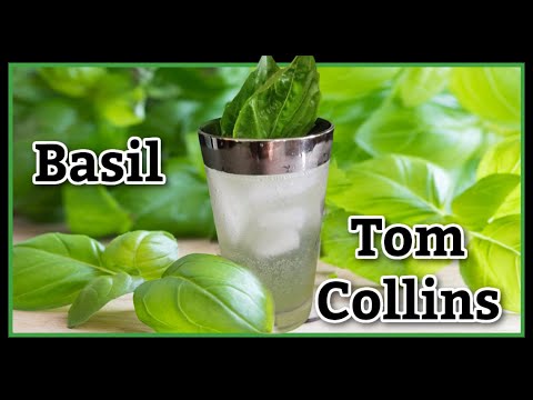 Basil Tom Collins - YouTube