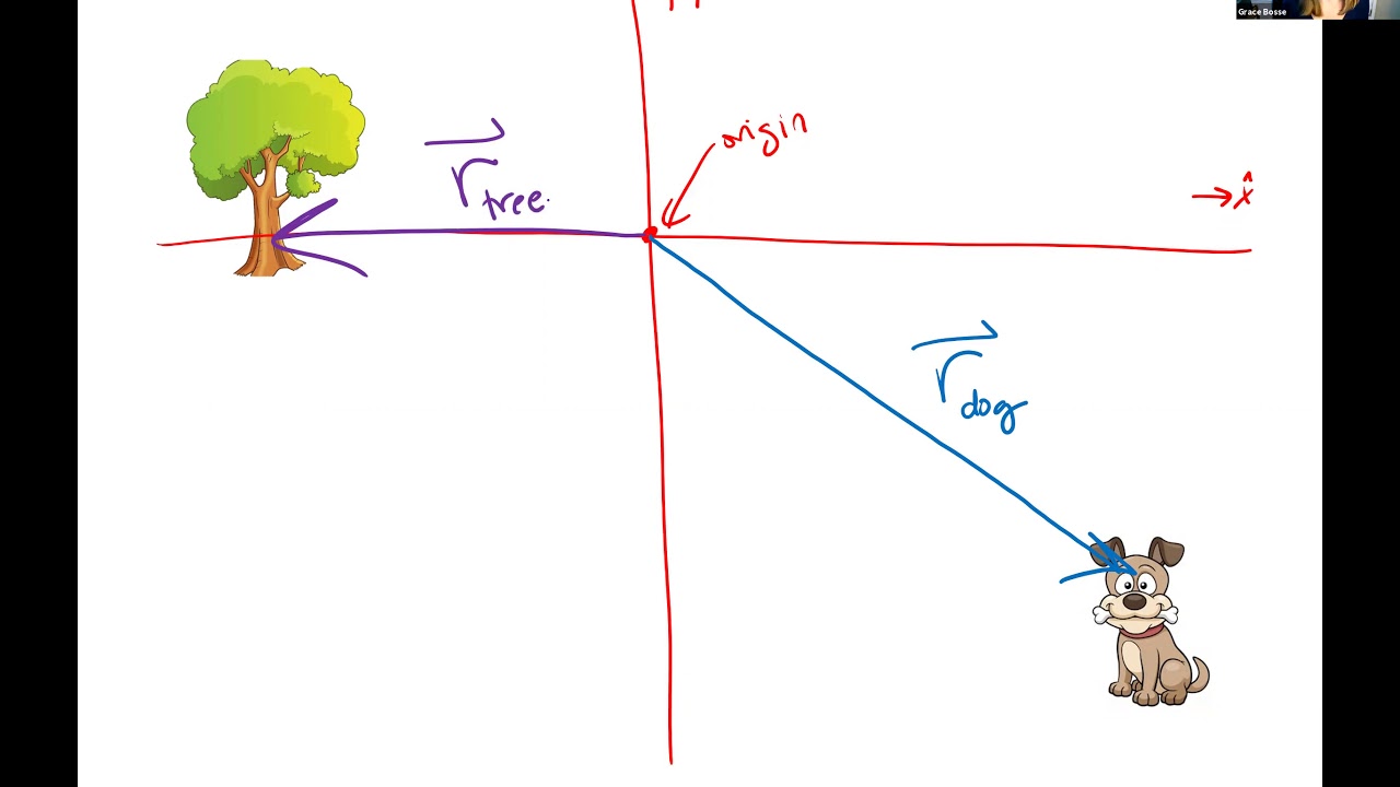 Position and displacement vectors - YouTube