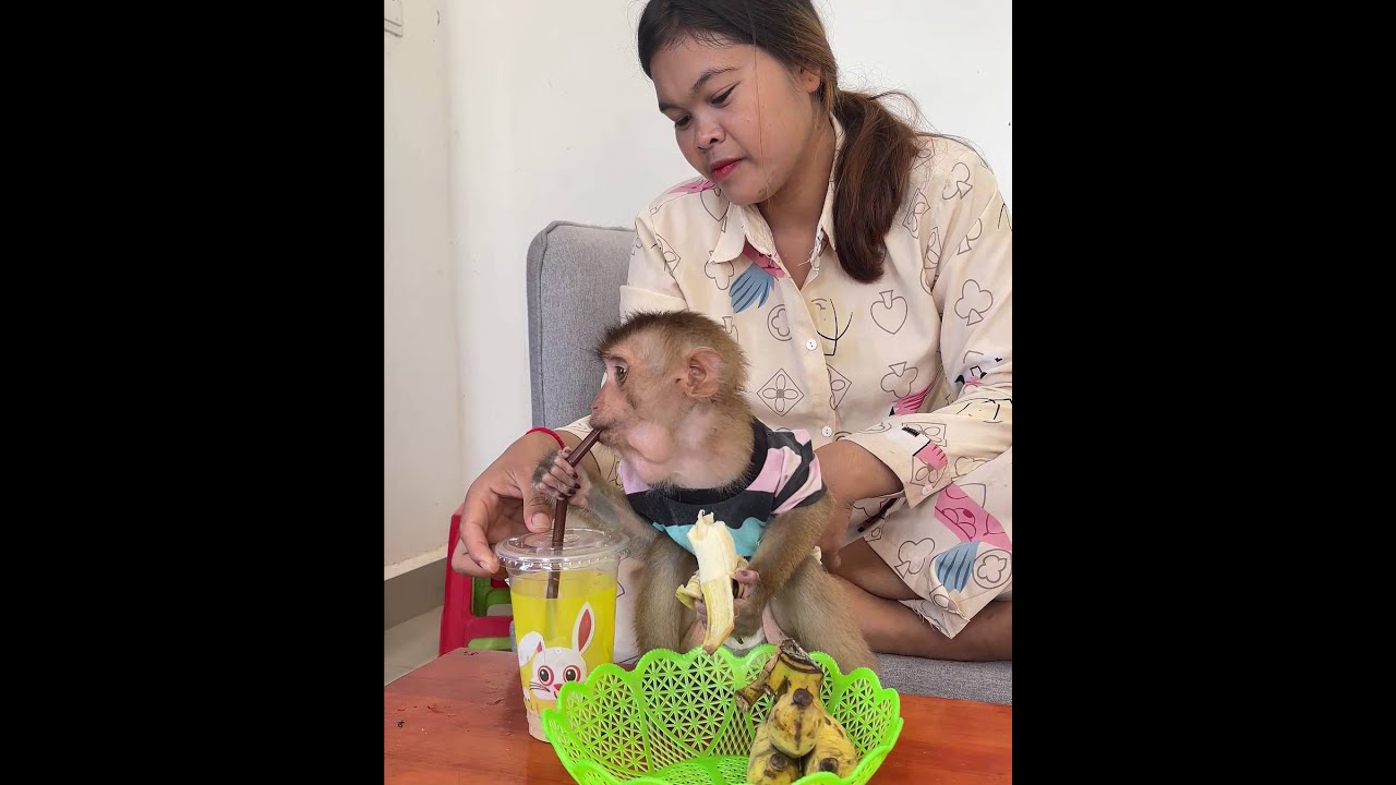 Monkey Bryan Is Having Snack With Coffee. | #shorts #moneky #cute # ...