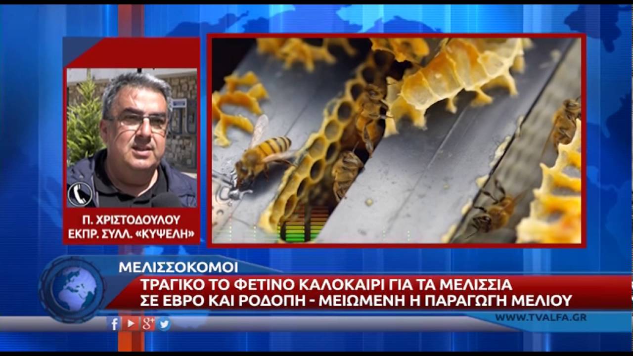 ΧΡΙΣΤΟΔΟΥΛΟΥ ΜΕΛΙΣΣΟΚΟΜΟΙ - YouTube